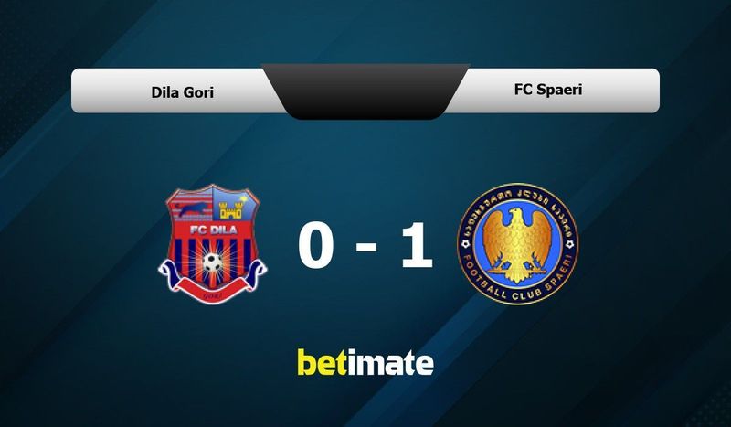 Pronostic, cotes et conseils de paris Dila Gori vs FC Spaeri (07/02/2025)